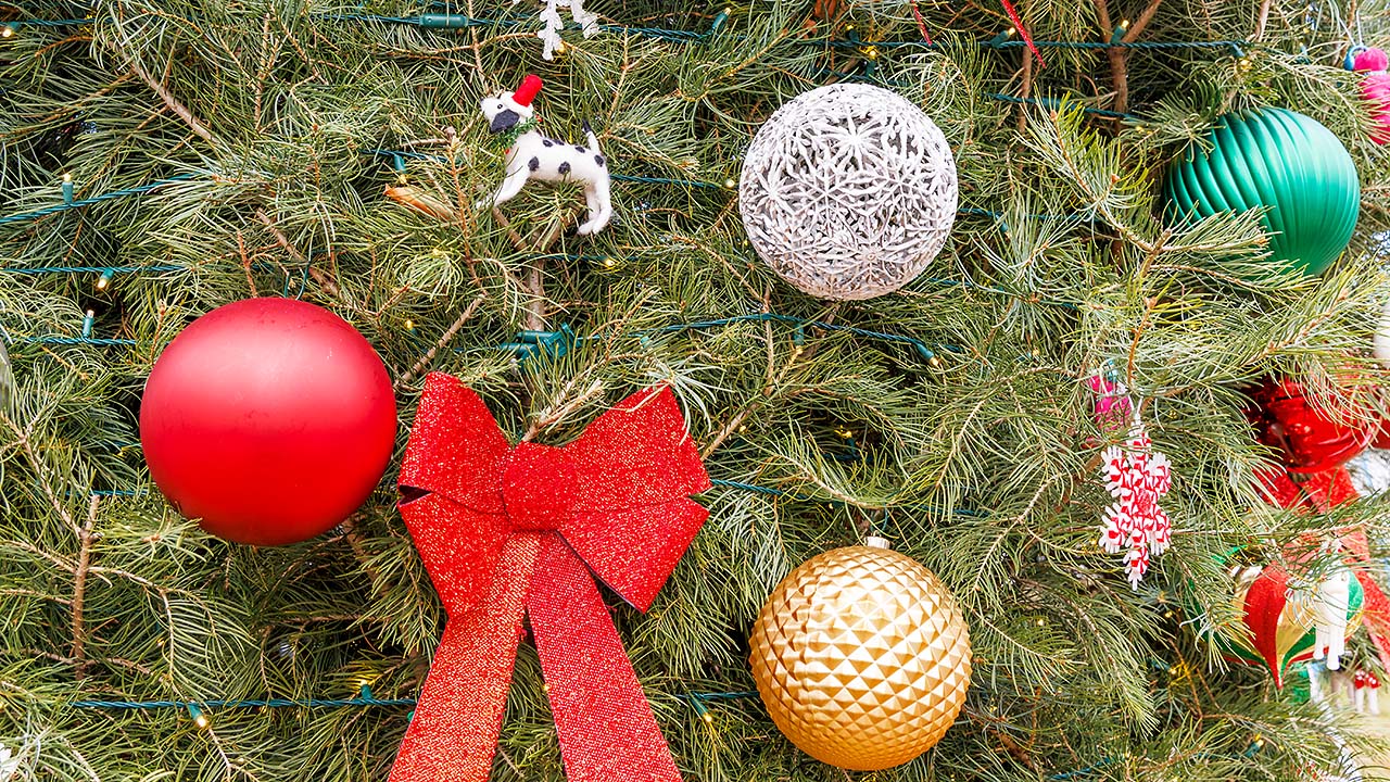 Holiday Lyrics: Rudolph the Red-Nosed Reindeer